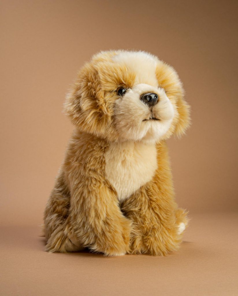 Shih Tzu Soft Toy | Shih Tzu Cuddly Toy Gift | Send a Cuddly