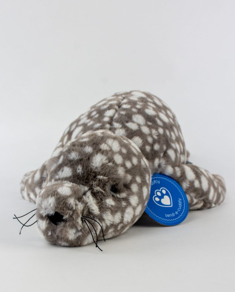 Jellycat Leopard Seal Soft Toy | Seal Soft Toy Gift from Send a Cuddly
