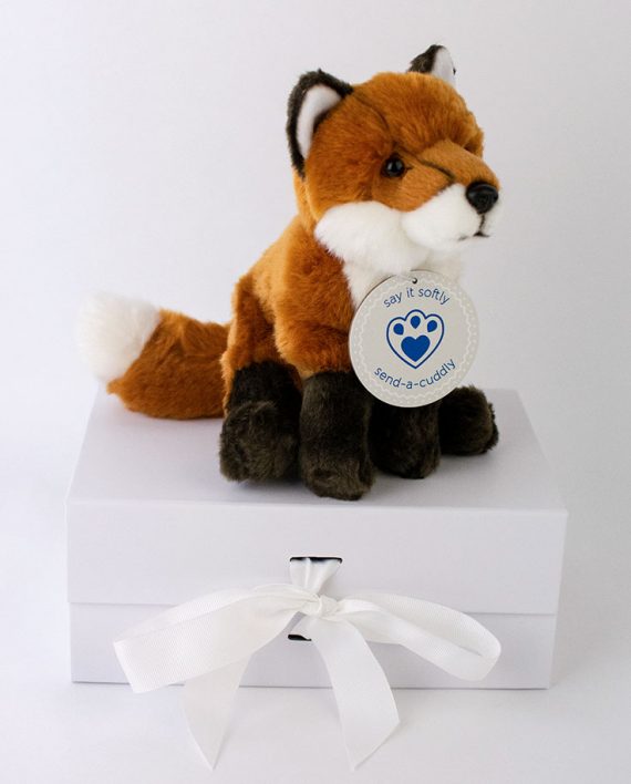 Fantastic Fox Soft Toy | Fox Cuddly Toy Gift | Send A Cuddly