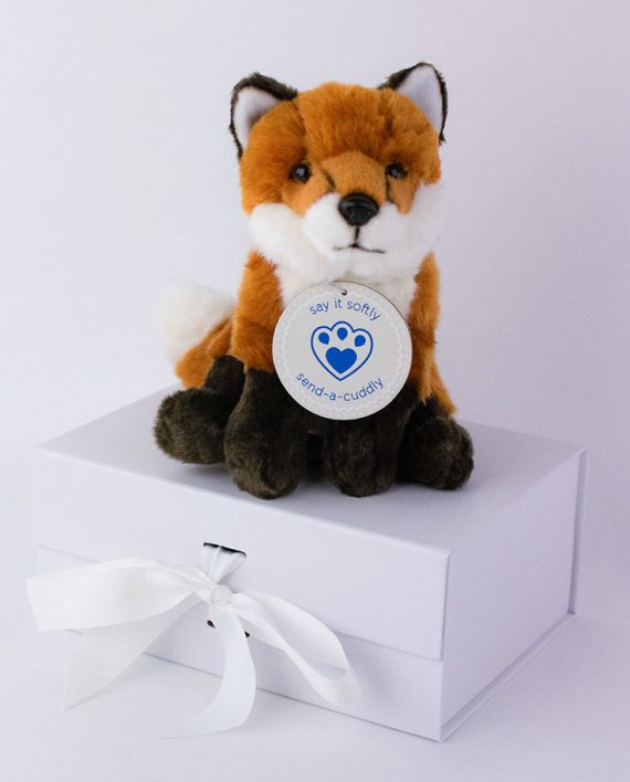 Fantastic Fox Soft Toy | Fox Cuddly Toy Gift | Send A Cuddly