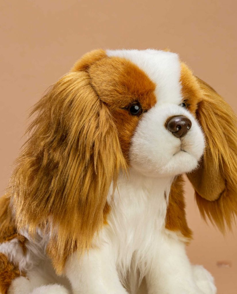 Blenheim Cavalier King Charles Spaniel | Soft Toy Gift Delivery
