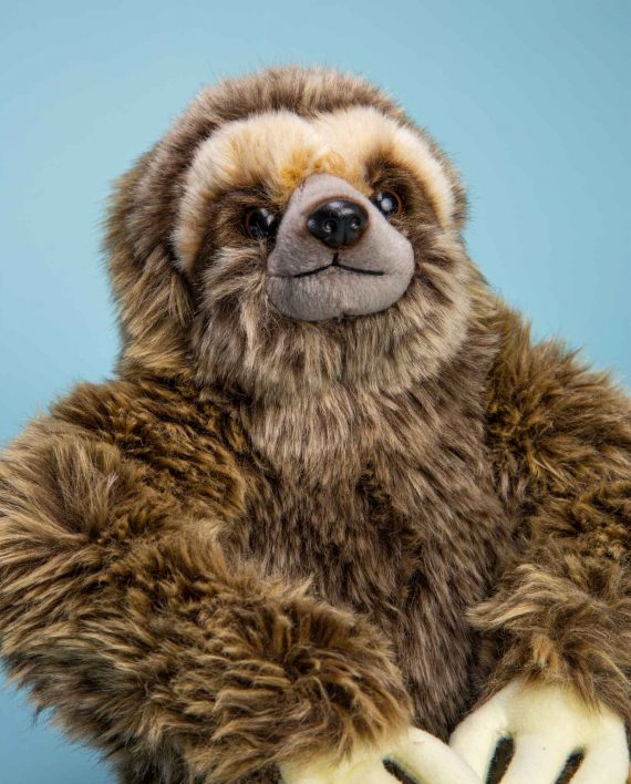 Splendid Sloth Soft Toy | Cuddly Sloth Gift idea | Send a Cuddly