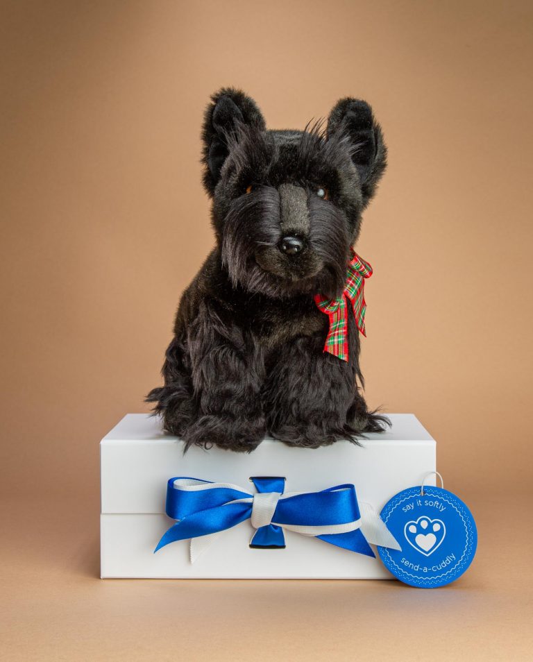 Smart Scottish Terrier Soft Toy | Dog Soft Toy Gifts | Send a Cuddly