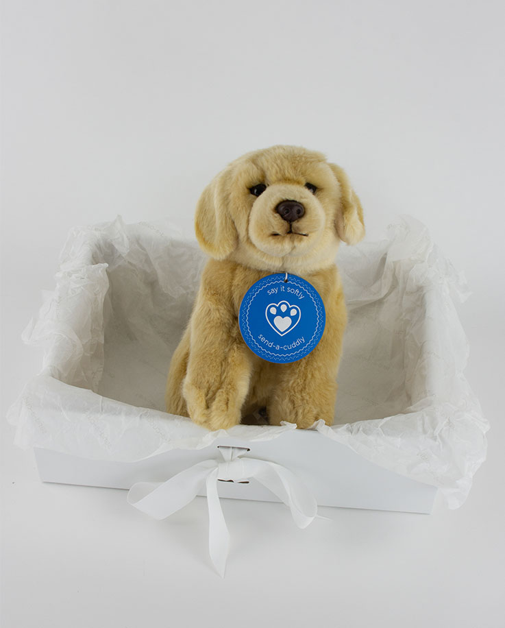 Yellow Labrador Soft Toy | Labrador Gift Idea | Send a Cuddly