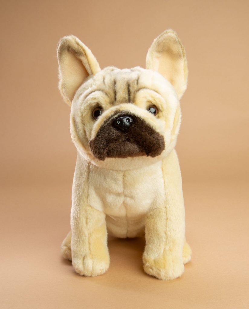 Blue french bulldog teddy store