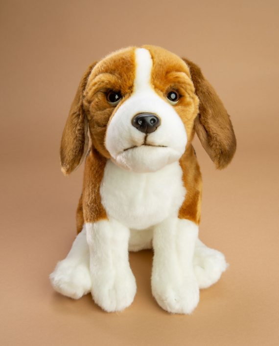 Beagle Soft Toy Dog Gift | Soft Toy Gifts for Beagle Lovers