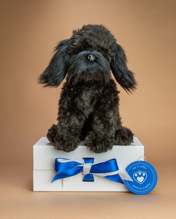 Black Cockapoo Gift | Soft Toy Gifts for Dog Lovers | Send a Cuddly
