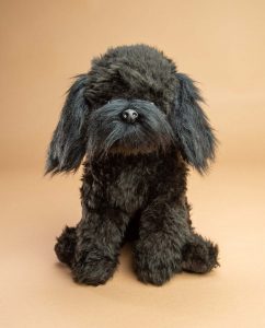 Black Cockapoo Gift | Soft Toy Gifts for Dog Lovers | Send a Cuddly