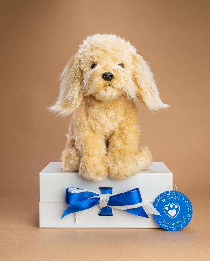 Cream Cockapoo Dog Gift | Gifts for Dog lovers | Send a Cuddly