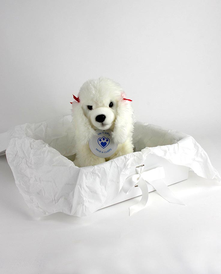 White Poodle Soft Toy | Soft Toy White Poodle Dog | Send a Cuddly