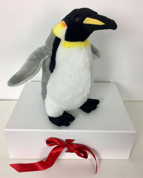 Emperor Penguin Soft Toy | Soft Toy Gift Delivery | Send a Cuddly