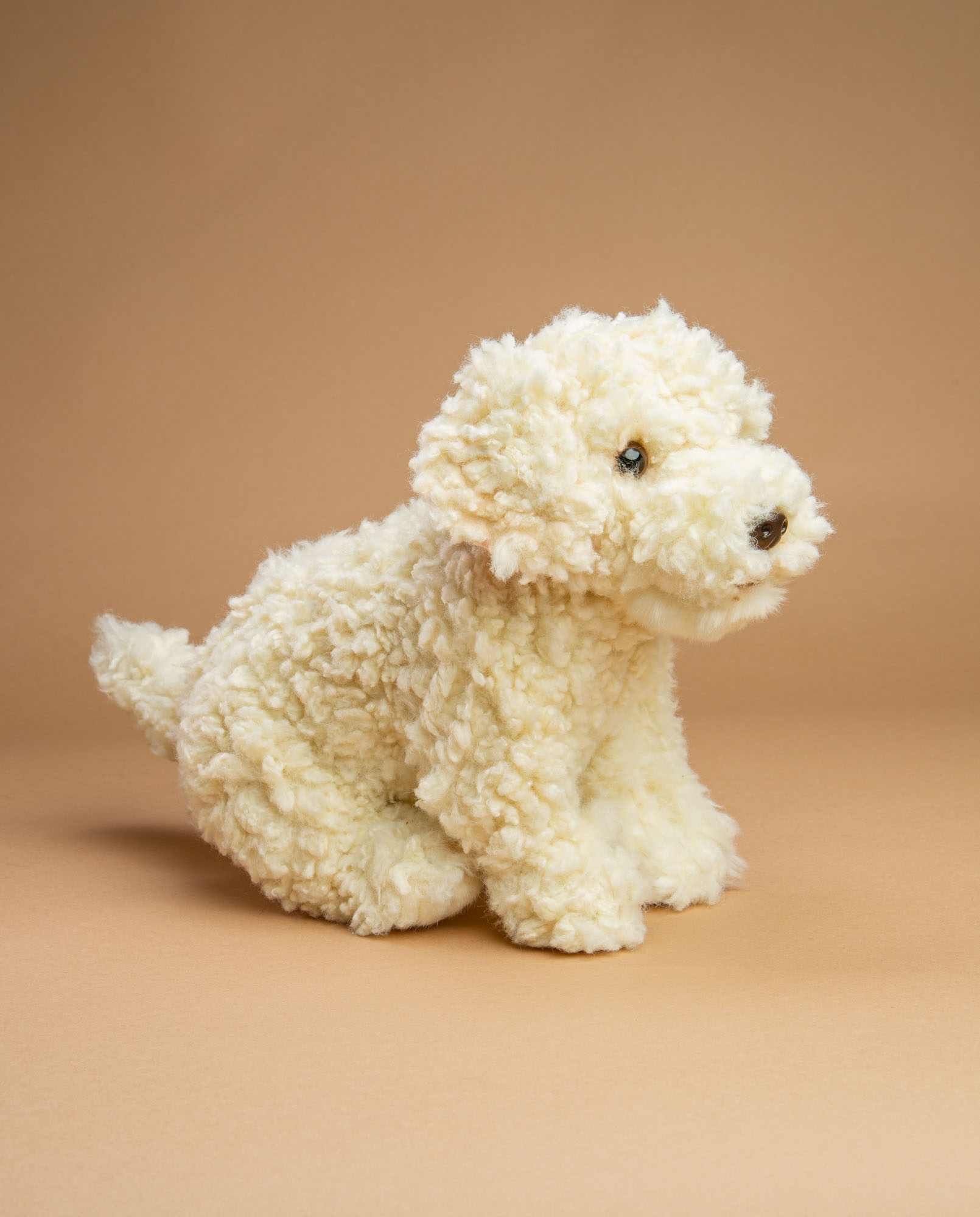 Are Labradoodles Cuddly