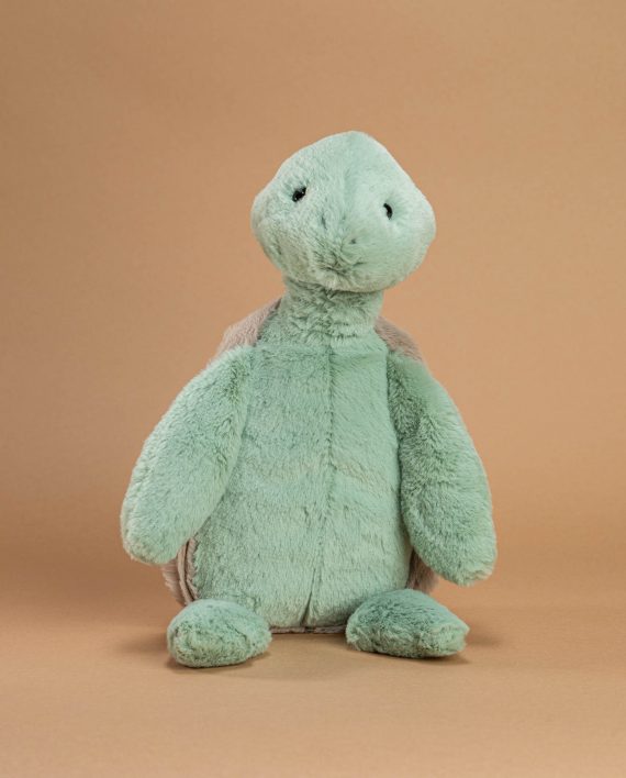 Bashful Turtle Soft Toy | A Turtley Gorgeous Gift - Send a Cuddly