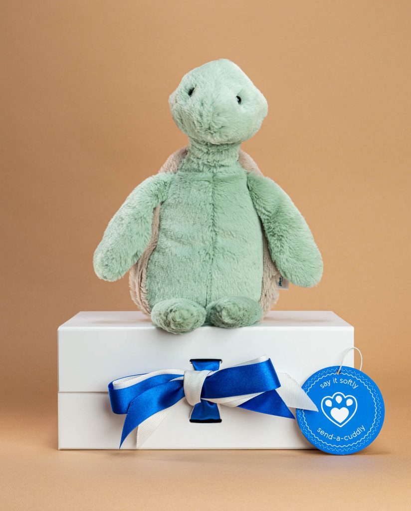 Bashful Turtle Soft Toy | A Turtley Gorgeous Gift - Send a Cuddly