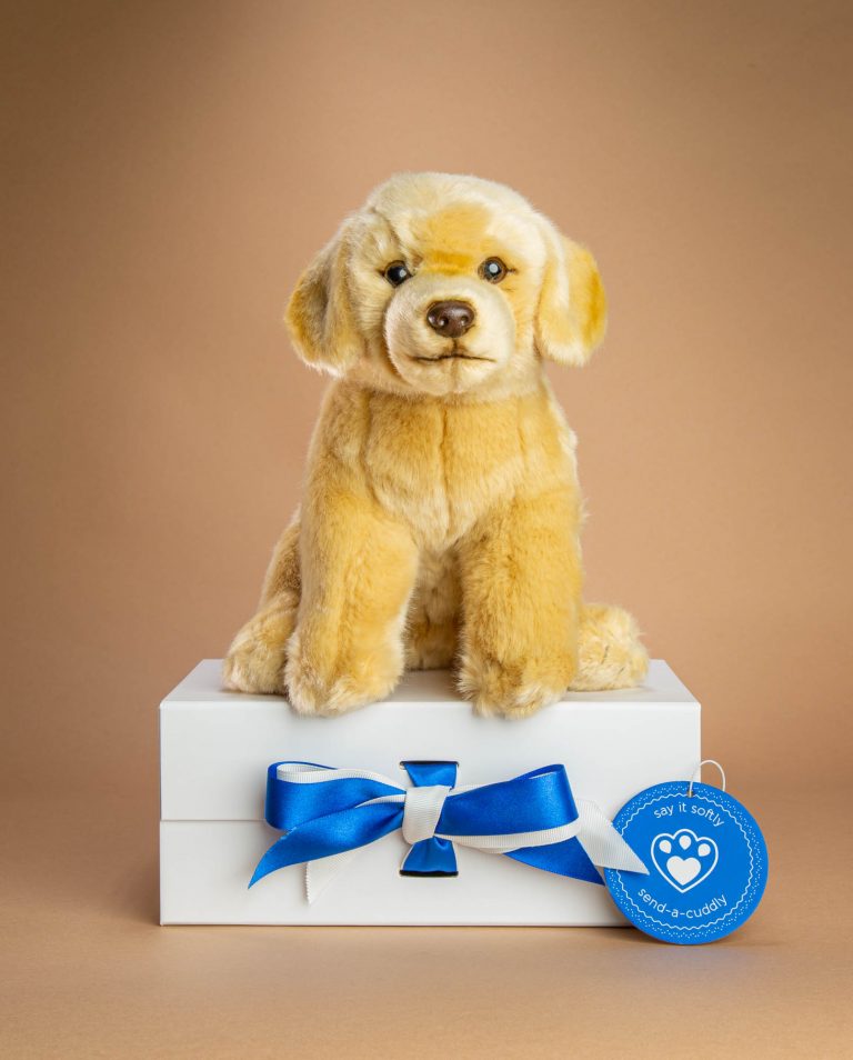 Yellow Labrador Soft Toy | Labrador Gift Idea | Send a Cuddly