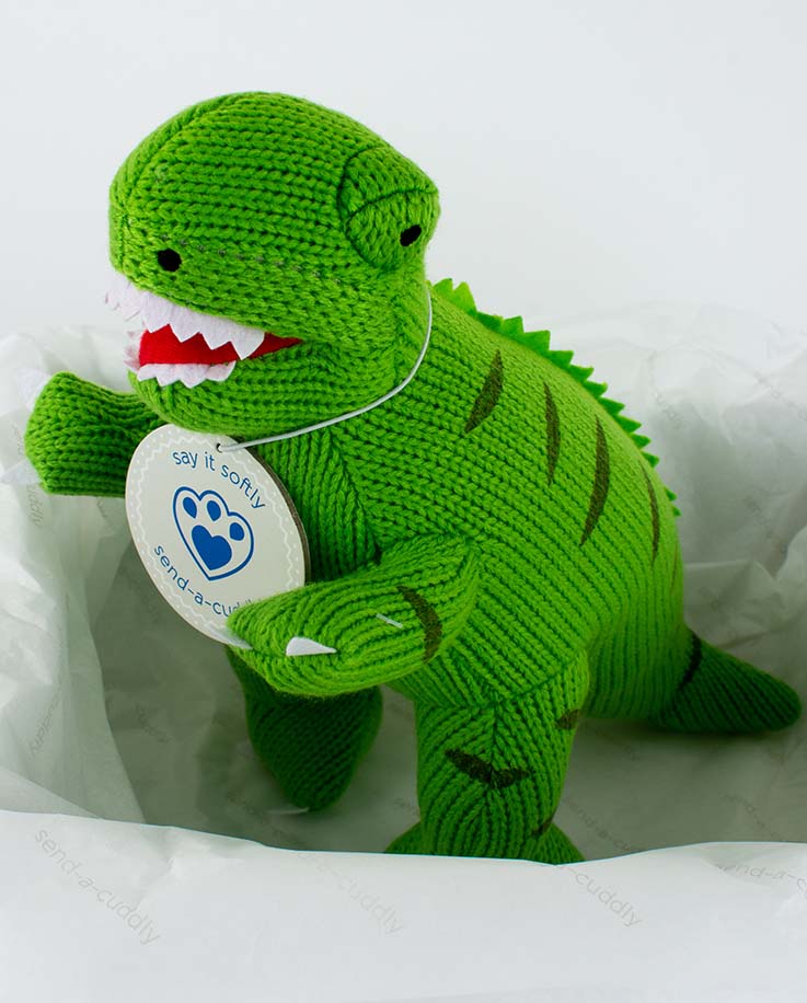 Knitted T. rex - Green | T. rex Dinosaur Soft Toy | Send a Cuddly