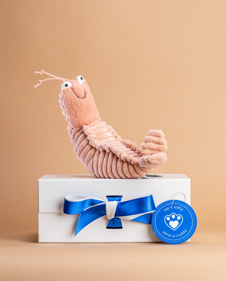 Sheldon Shrimp Soft Toy | Jellycat Sheldon Shrimp Gift | Send a Cuddly