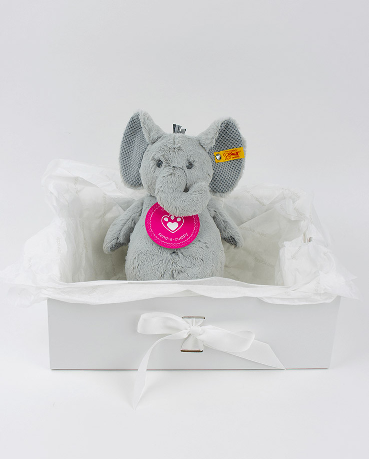Ellie Elephant Gift | Steiff Elephant Gift | Teddy Gift Delivery