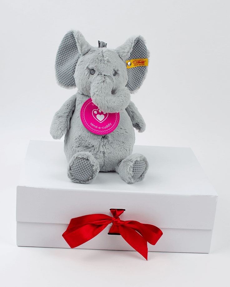 Ellie Elephant Gift | Steiff Elephant Gift | Teddy Gift Delivery