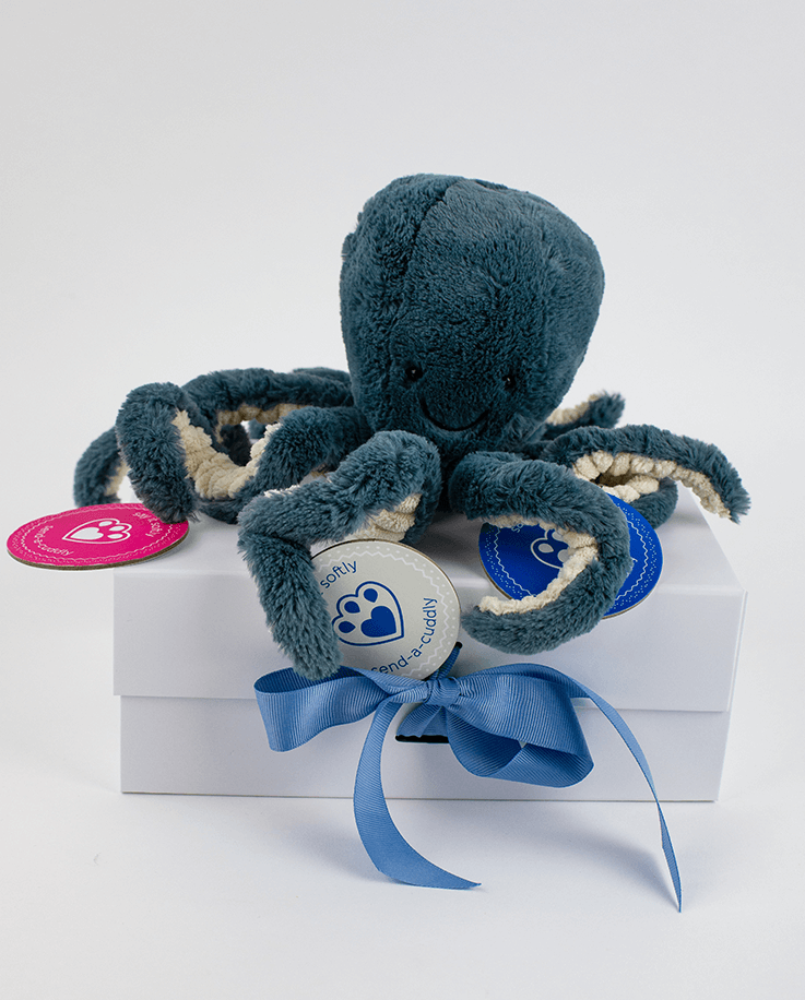 Jellycat Storm Octopus | Octopus Soft Toy Gift Idea | Send a Cuddly