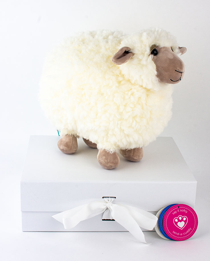 Jellycat Rolby Sheep | Cute Sheep Thank Ewe Gift Idea | Send a Cuddly