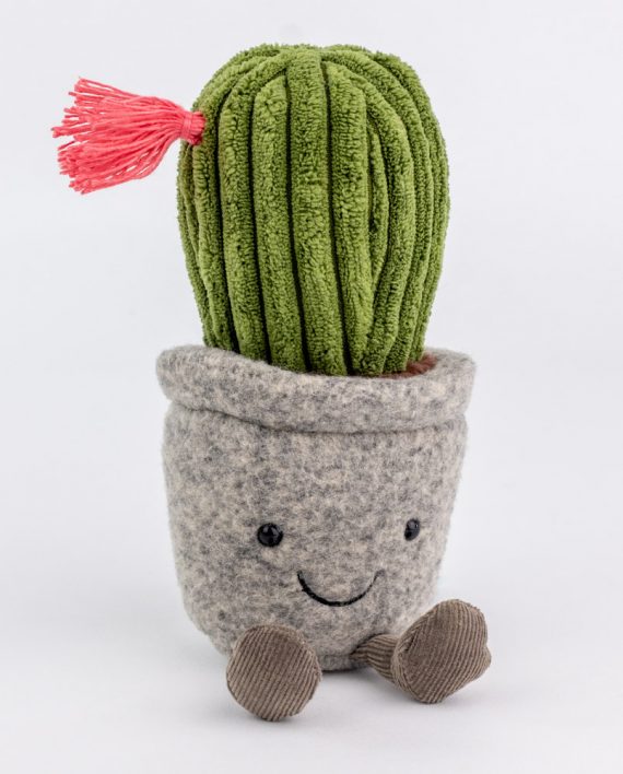 Cactus Cuddly Gift | Jellycat Silly Succlulent Cactus soft toy gift.