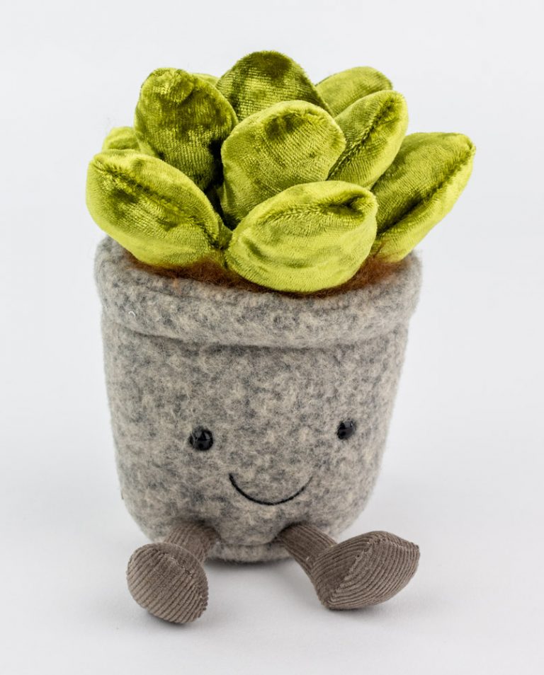 Cuddly Pot Plant Gift | Jellycat Silly Succlulent Jade soft toy gift.