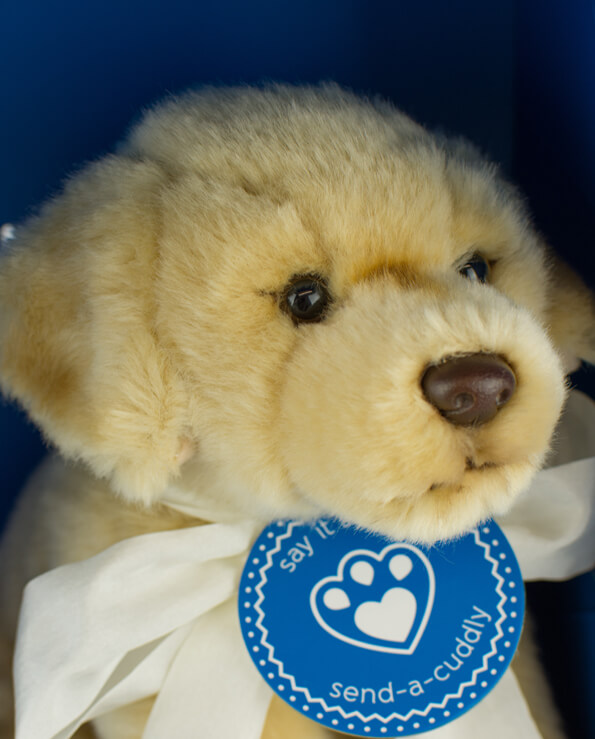 Yellow Labrador Soft Toy | Labrador Gift Idea | Send a Cuddly