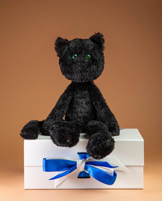 Jellycat Casper Cat Soft Toy | Black Cat Gift Idea | Send a Cuddly