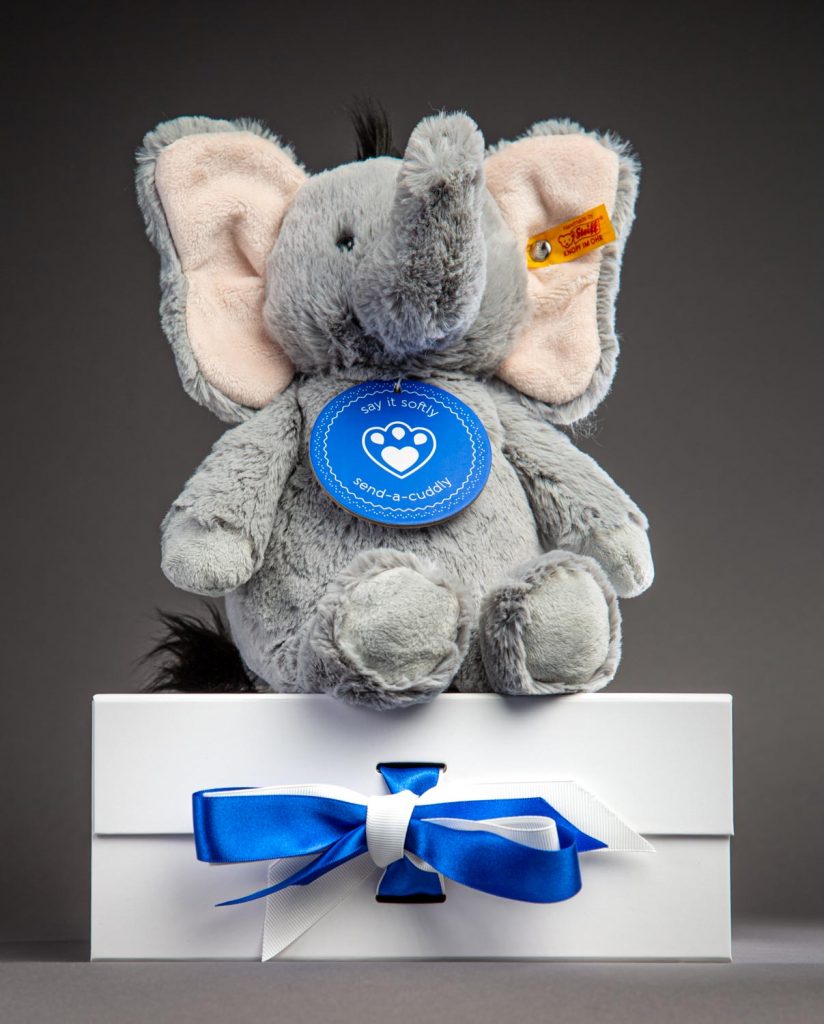 Elephant Gift | Steiff Elephant in a Gift Box with Ribbon | Send a Cuddly