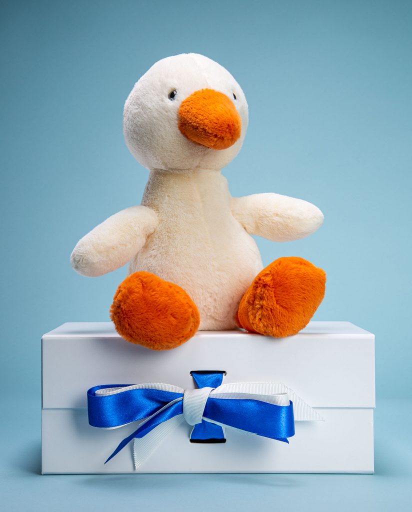 Gorgeous Duck Cuddly Toy | Send a plush duck gift with your message.