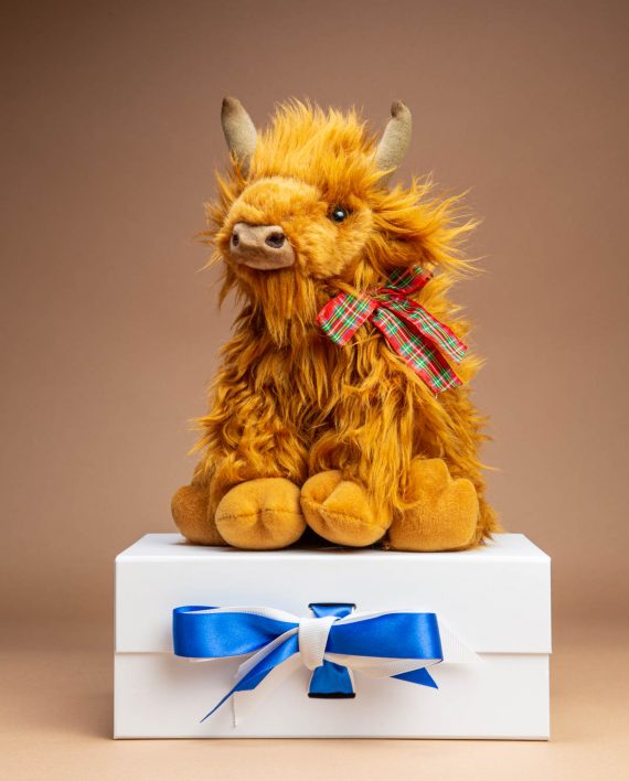 Highland Cow Cuddly| Scottish Soft Toy Gift | Send a Cuddly