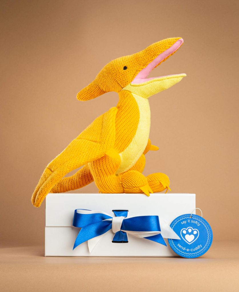 Knitted Pterodactyl Toy Soft Toy Dinosaur Buy at Send a Cuddly
