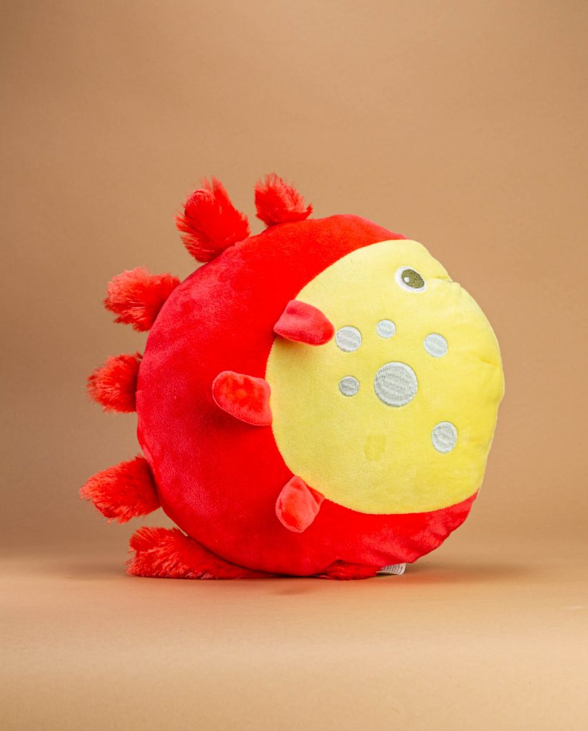 Cuddly Fish Soft Toy | Send a Fish with your message today | Gift Box