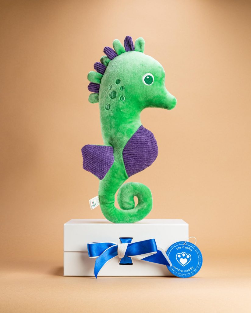 Cuddly Seahorse Soft Toy | Send a Seahorse with your message today!