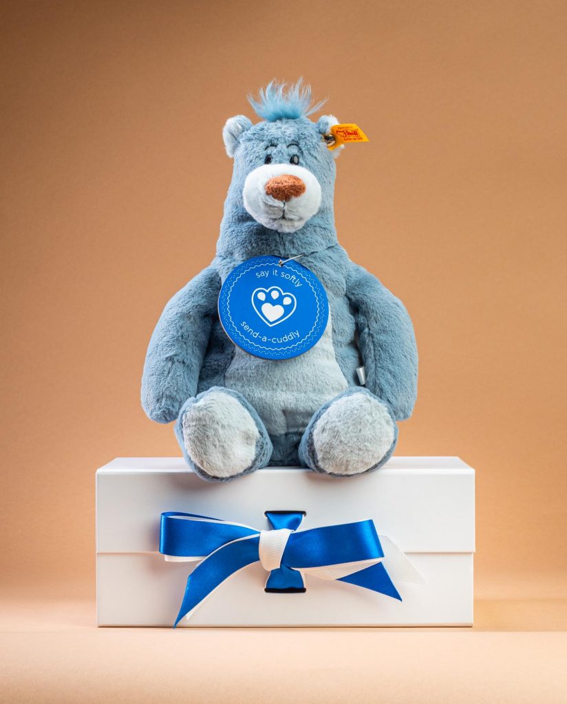 Send a Cuddly: Beautifully packaged thoughtful soft toy gifts delivered