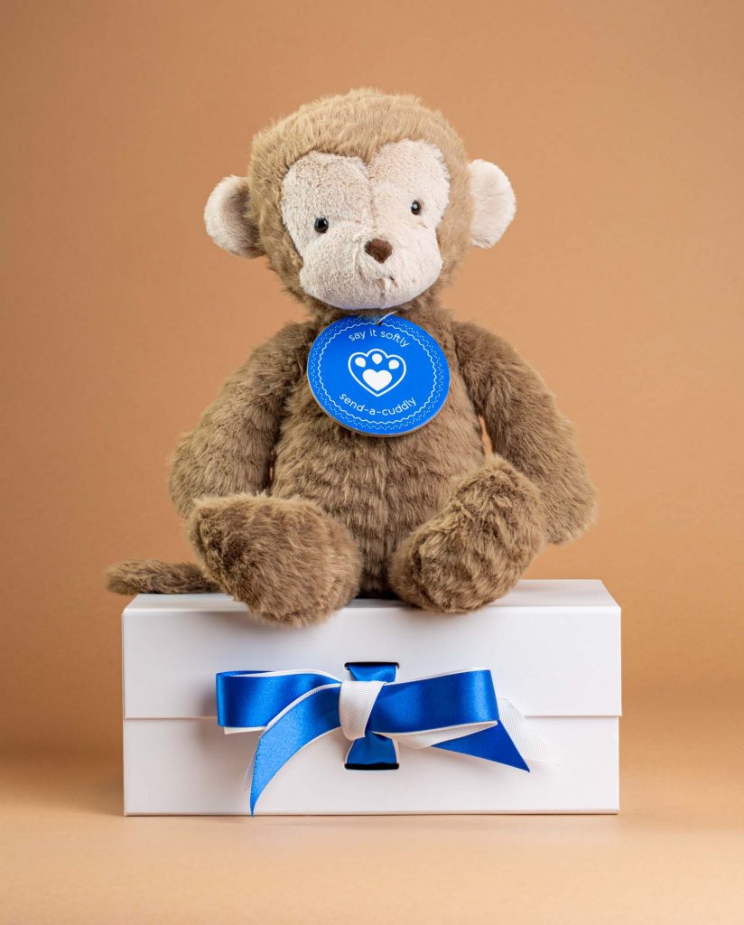 Send a Jellycat Rolie Polie Monkey Soft Toy | Say it Softly | Send a Cuddly