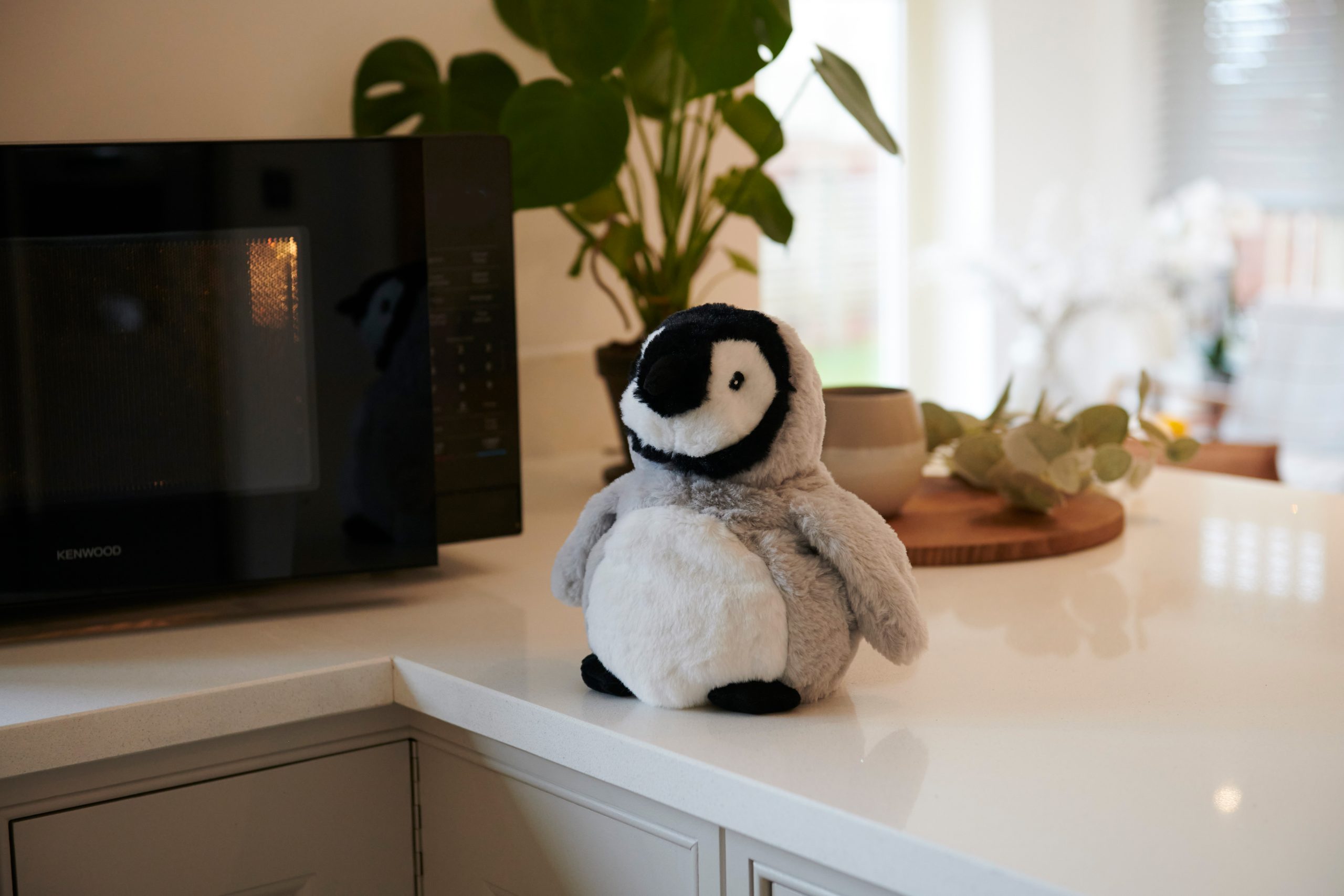 Heat-up Penguin | Soothing, Warm, Comforting | Send a Cuddly