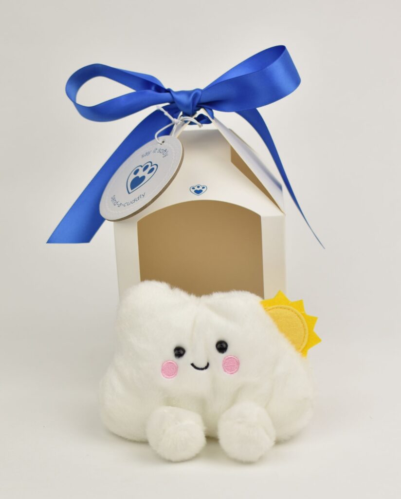Cuddly Cloud Soft Toy| Quirky Cloud Gift | Send a Cuddly