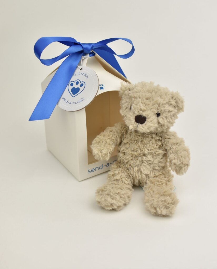 Fletcher Teddy Bear | Adorable Teddy Gift Idea | Send a Cuddly today!
