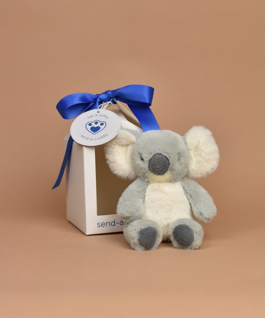 Baby Koala Soft Toy Gift | Perfect for babies and koala lovers!