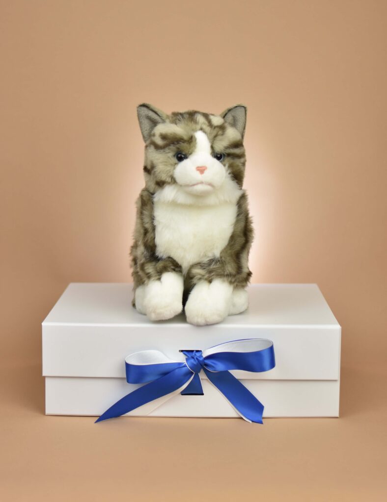 Tabby cat soft and cute | Cat Gift Idea | Send a Cuddly
