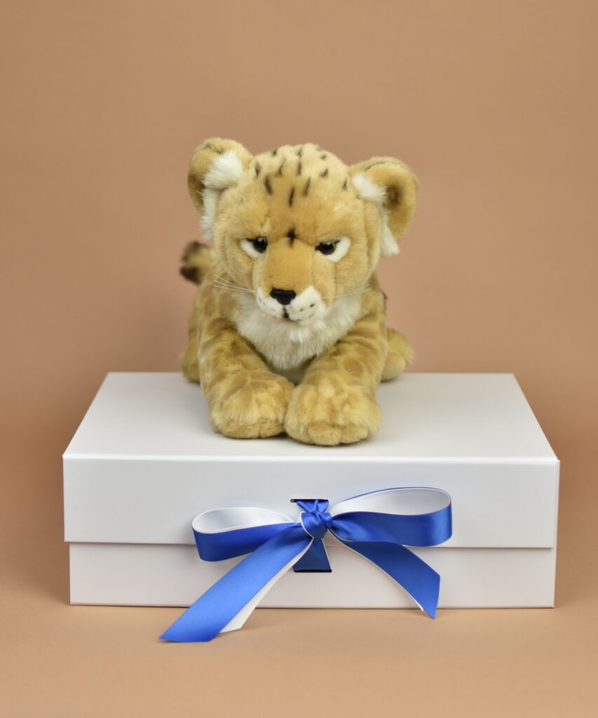 Lion Soft Toy | Lion Cuddly Toy Gift from Send a Cuddly