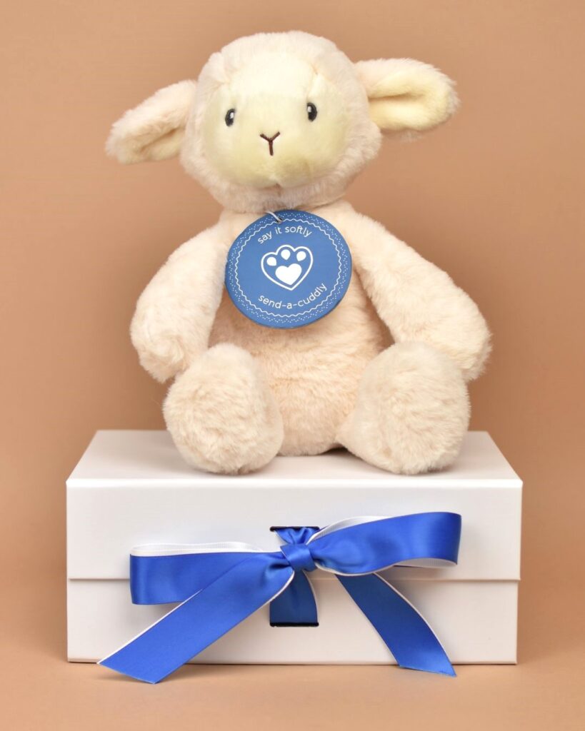 Cuddly lamb Gift Delivery | eco cream lamb-Send a Cuddly