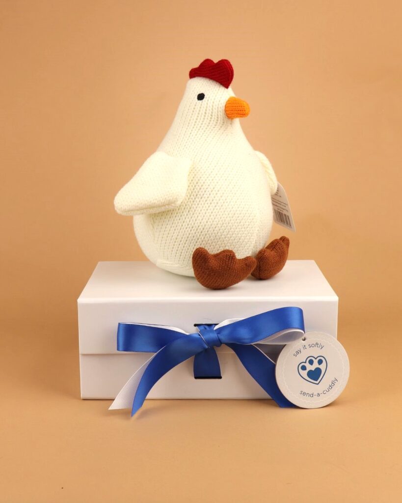 Knitted Coronation Chicken Soft Toy | Quirky Gift | Send a Cuddly