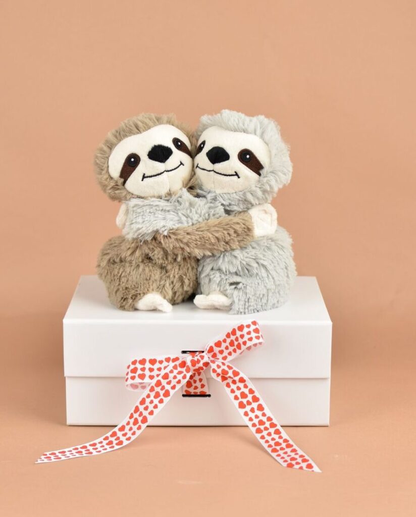Warmies Heatable Hugging Sloths | Get Well gift | Send a Cuddly
