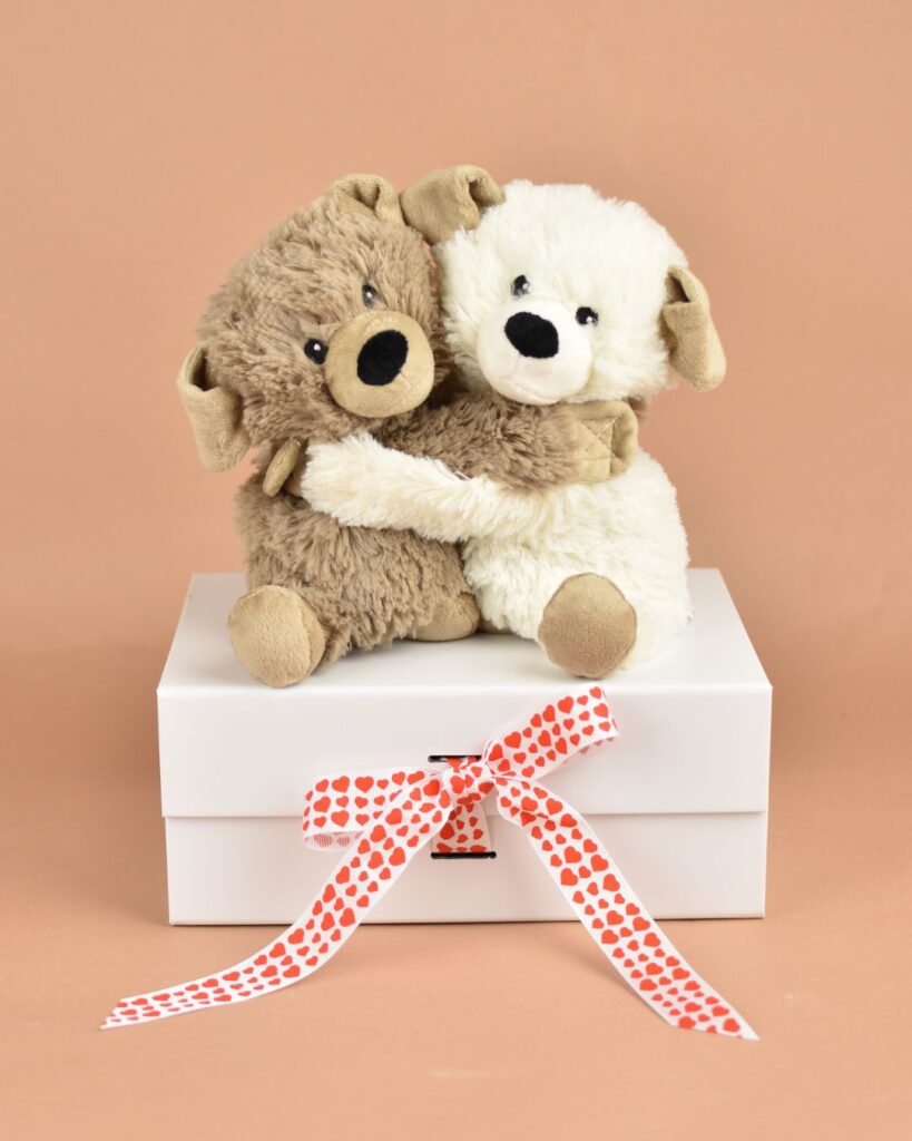 Send Warmies Heatable Hugging Puppies | Send a Cuddly