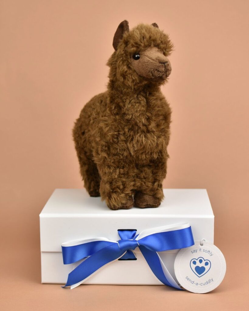 Super Soft Alpaca Soft Toy | 24cm tall | Send a Cuddly
