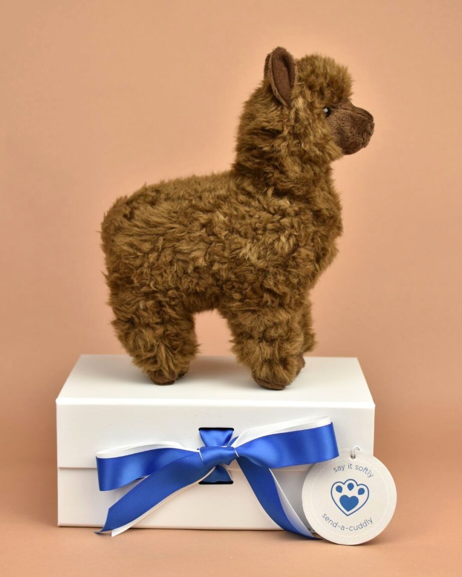 Super Soft Alpaca Soft Toy | 24cm tall | Send a Cuddly