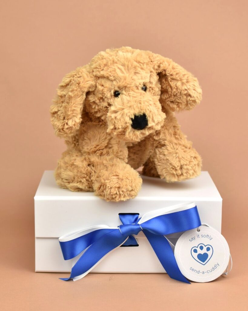 Beige Cockapoo Soft Toy | Puppy Cuddly Gift | Send a Cuddly